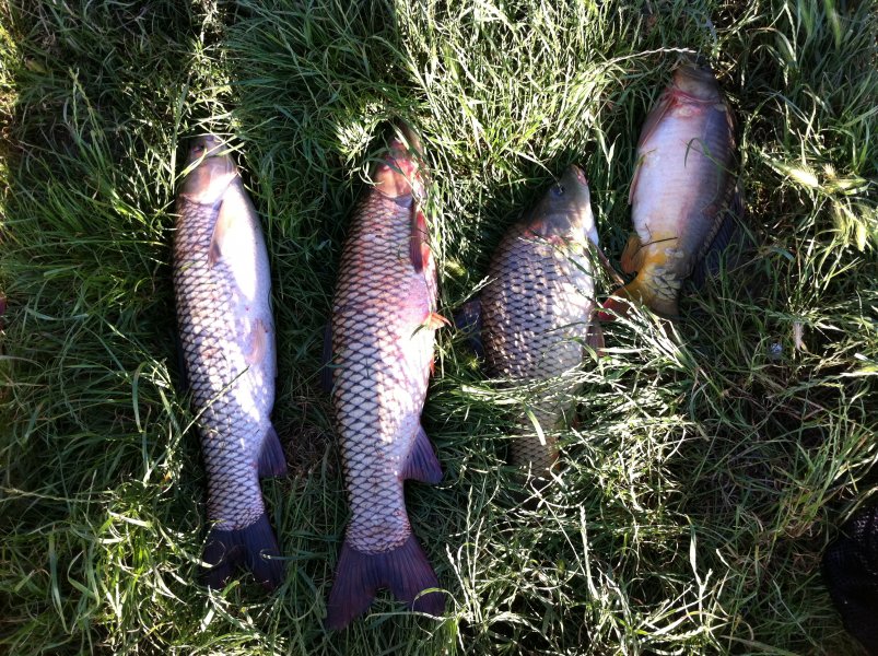 Balta Razvani - Valea Seaca - Razvani