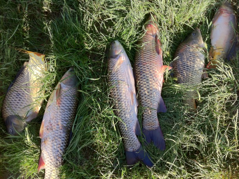 Balta Razvani - Valea Seaca - Razvani