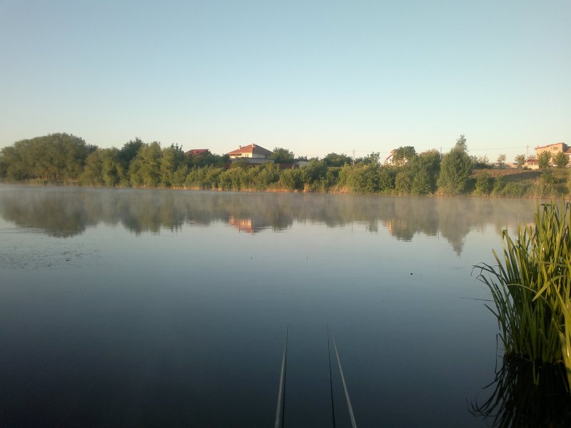 Balta Balaceanca - Frumusani