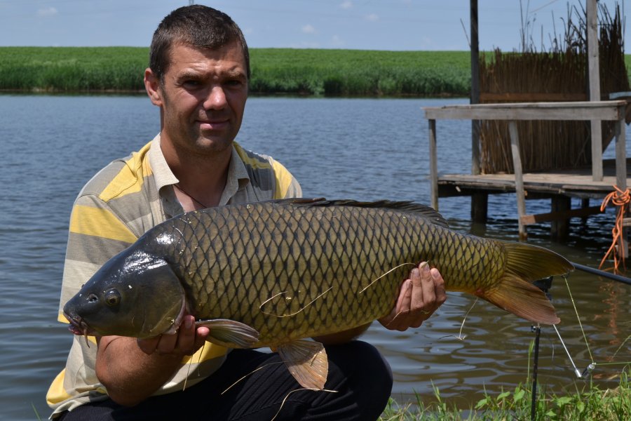 Balta Mariuta 3 - Mariuta