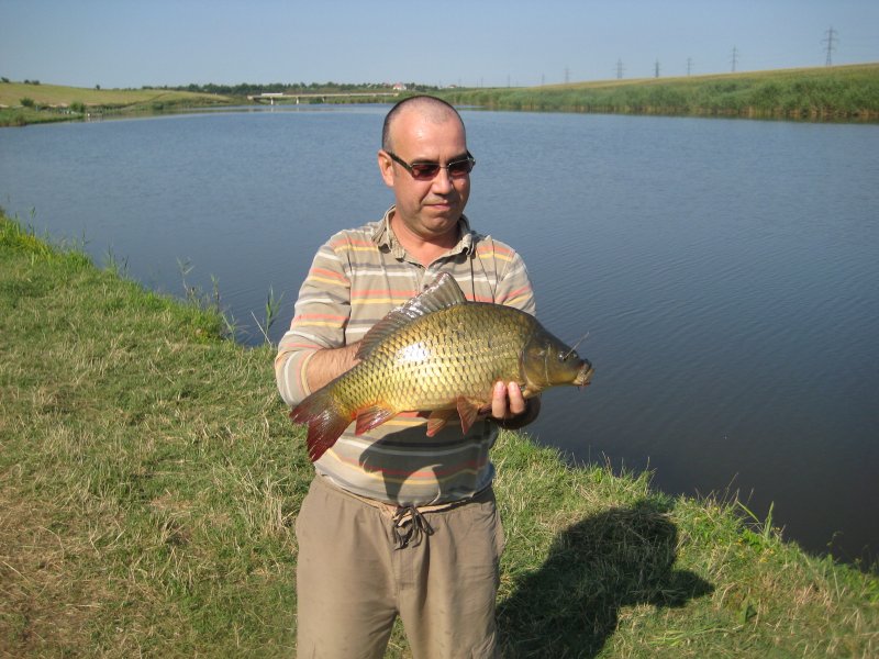 Balta Mariuta 3 - Mariuta